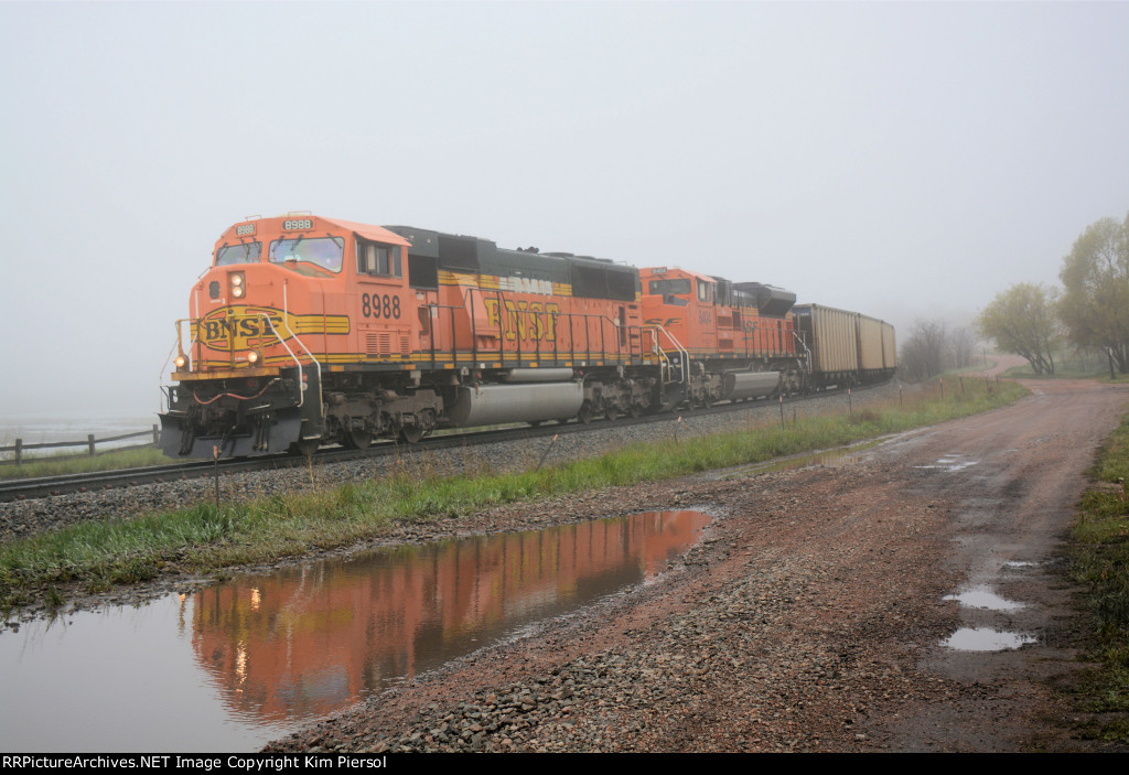 BNSF 8988 Coal Empties
